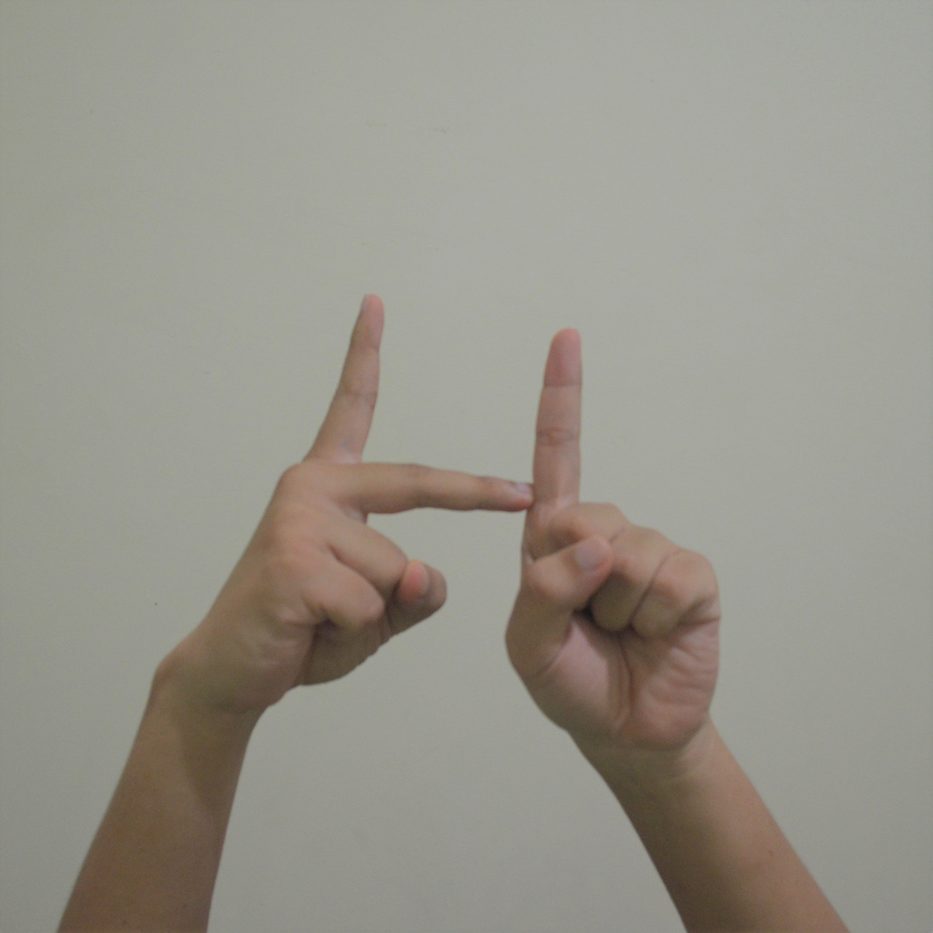 Gestur Tangan Bahasa Isyarat Object Detection Dataset By Citra