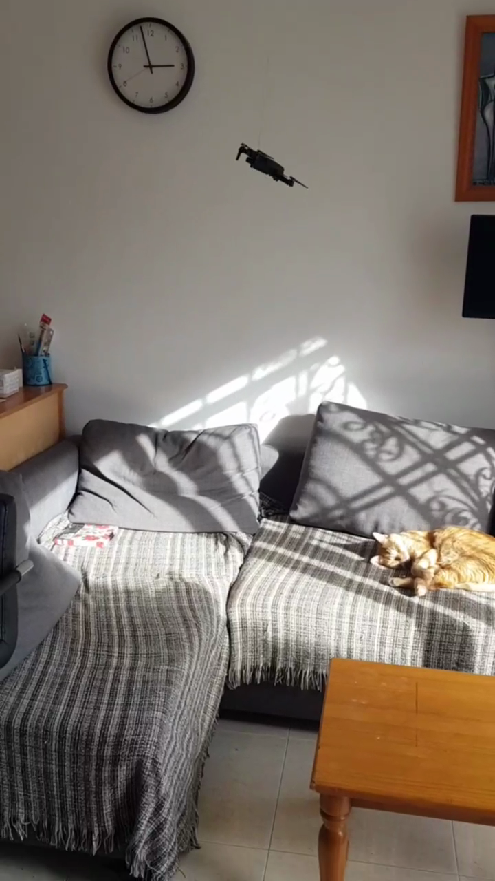 How to Use the cars_v4 Object Detection API