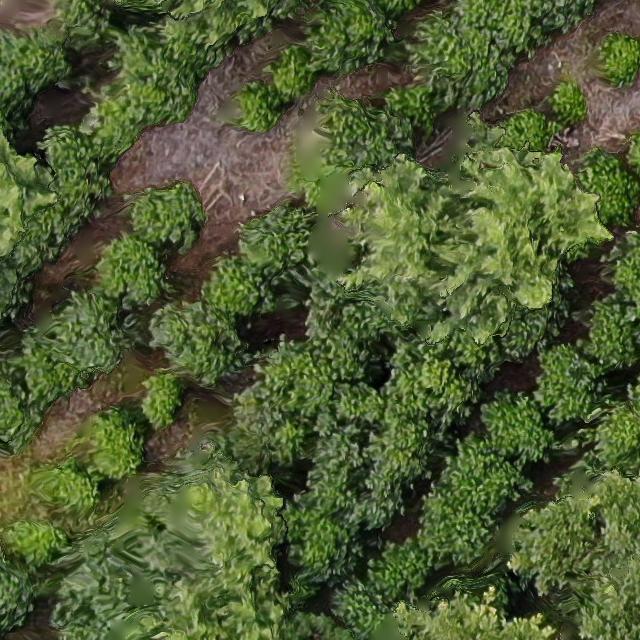 How to Use the Ricardo_volcafe Instance Segmentation API