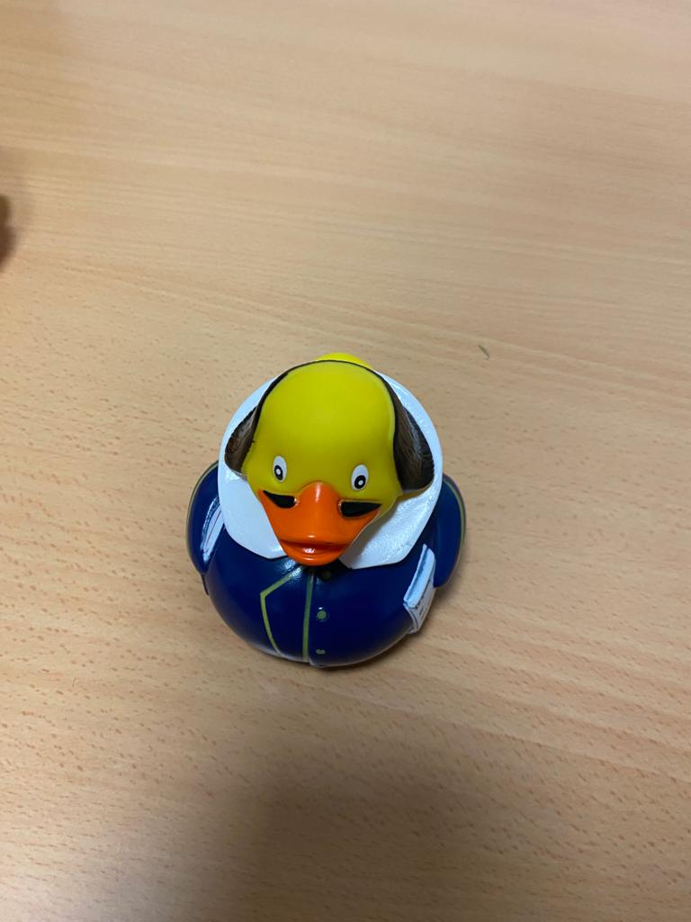 Detecting Rubber Ducks Object Detection Dataset and Pre-Trained Model by air force academy