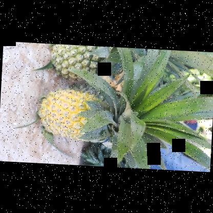 PineApple Object Detection Dataset by The University of Danang