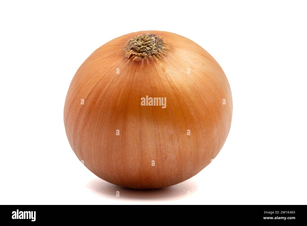 onions Object Detection Model by Bolbol