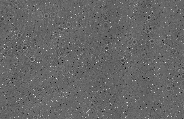 My Ecoli Project - Roboflow Universe