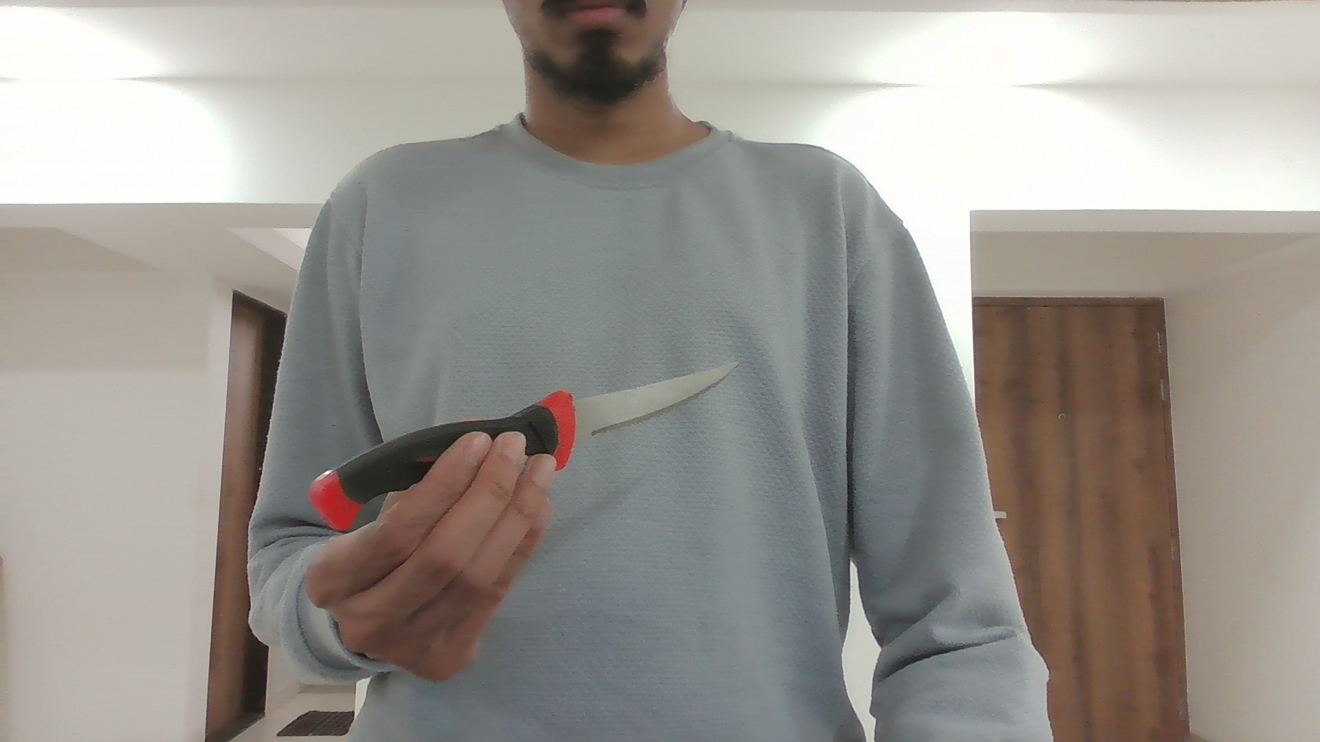 Gundetection Object Detection Dataset And Pre Trained Model By Gundetection