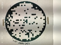 Wafer Segmentation - Roboflow Universe