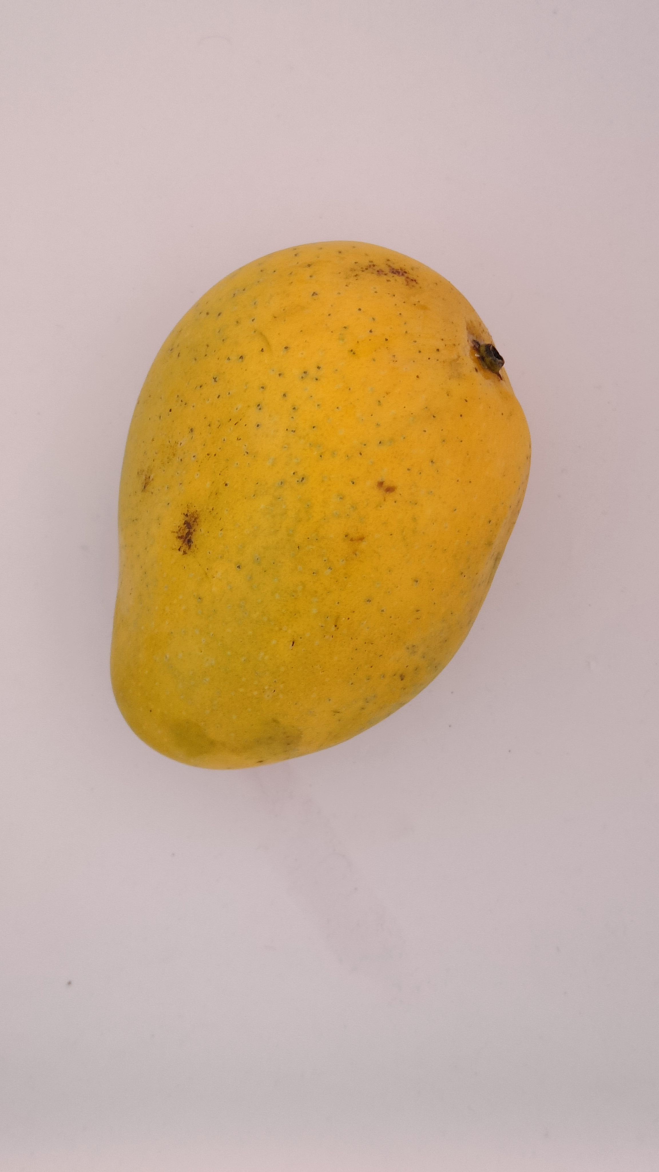 mango_detection Object Detection Dataset by NewMango