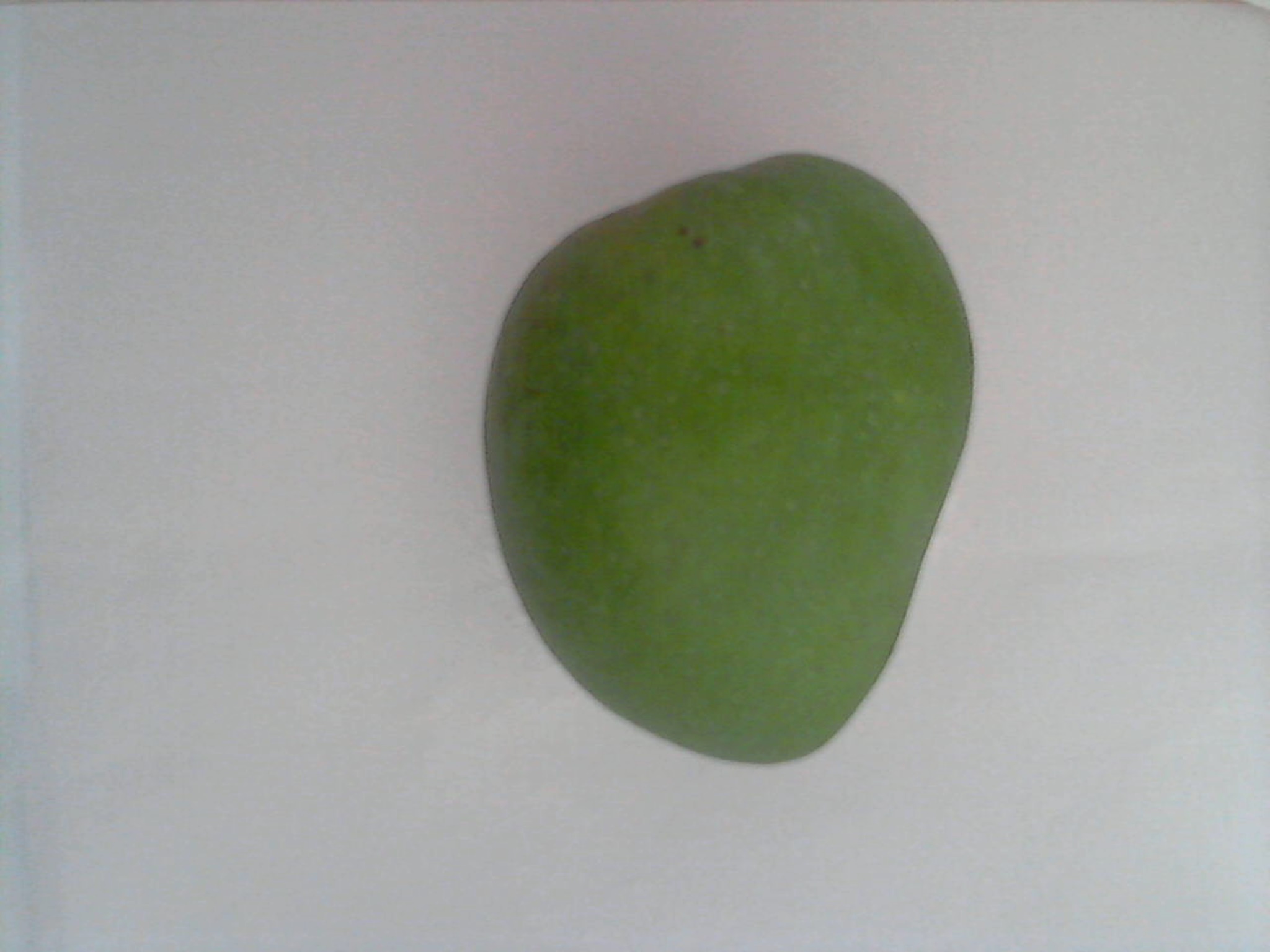 Project Mango Object Detection Dataset V5 2024 10 15 4 27am By Newmango