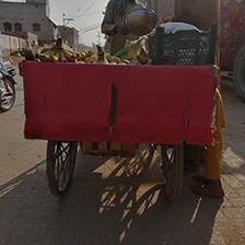 Sathish r - Roboflow Universe