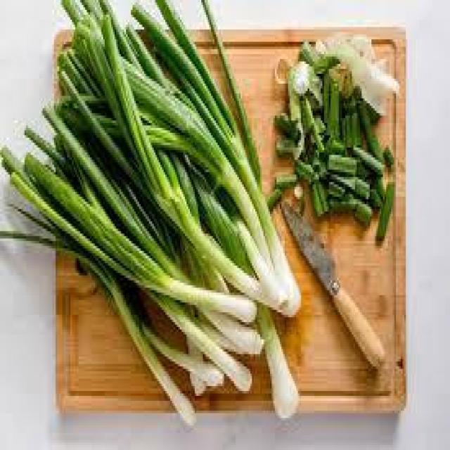 leek Object Detection Model by datasets