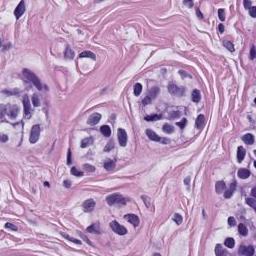 project3 Object Detection Dataset and Pre-Trained Model by AI