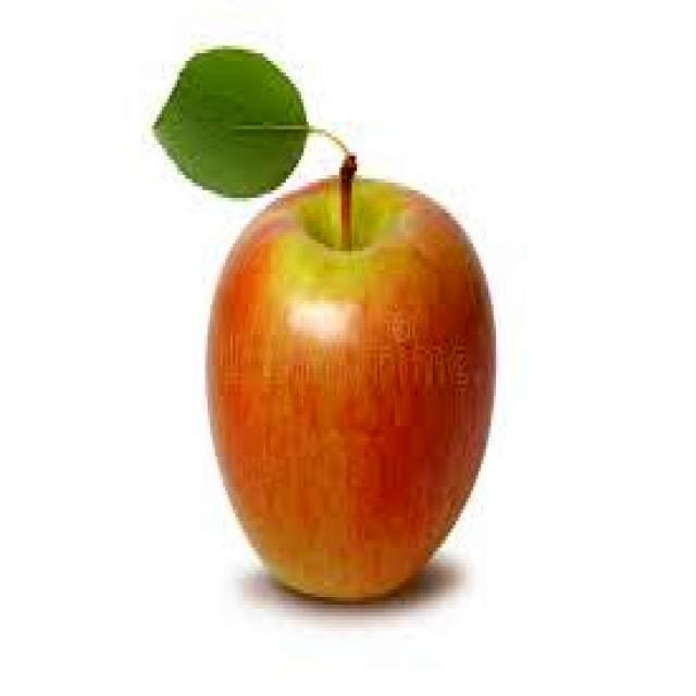 Segmentation_fruit Instance Segmentation Model by WISD2025