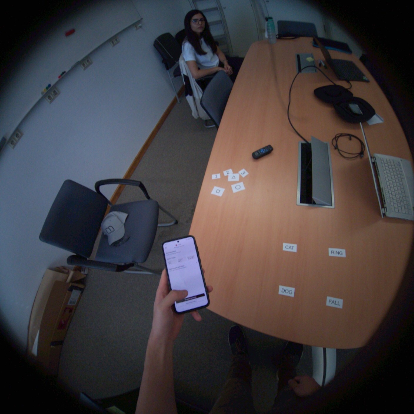 Project Aria (project-aria-iuyt2) - Roboflow Universe