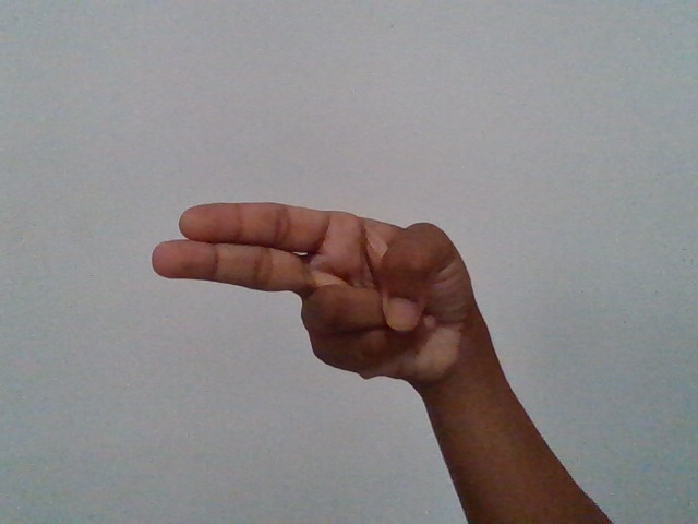 Sign Language Capturing Model Object Detection Dataset by BitMasters