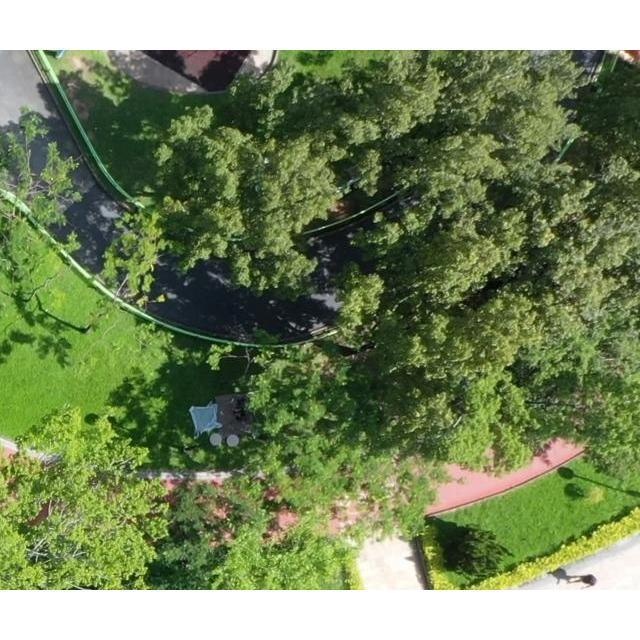 Suas Shape Detection Object Detection Dataset And Pre Trained Model By Iyad Ashraf