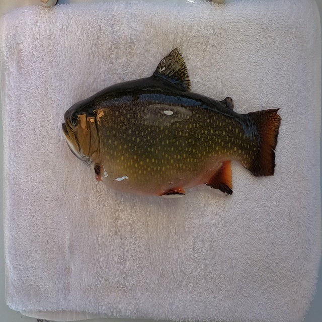 fish_detection Object Detection Dataset and Pre-Trained Model by Universidad