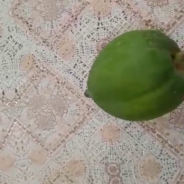 Papaya Ripeness Detection Roboflow Universe