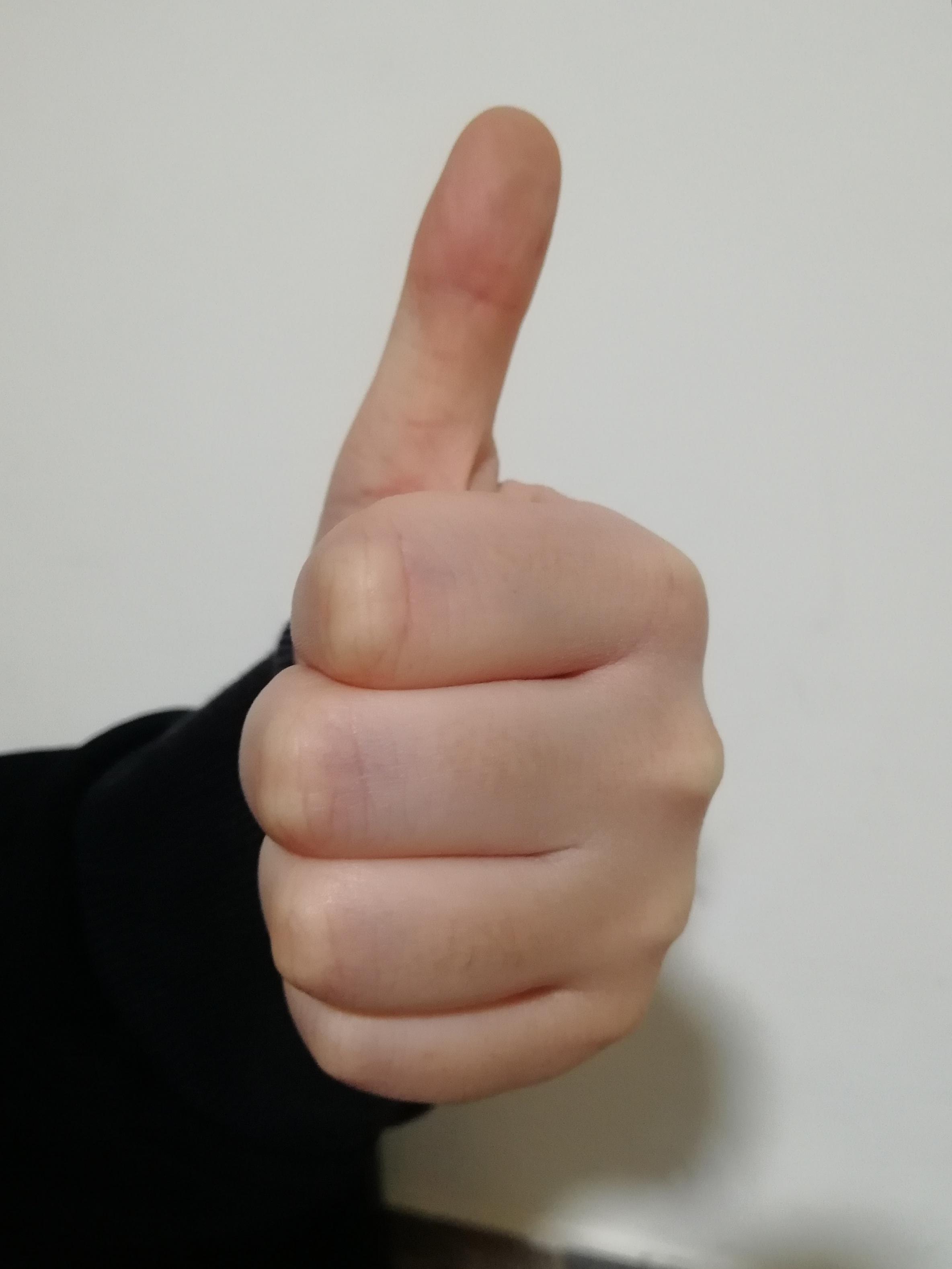 sign lan - Roboflow Universe