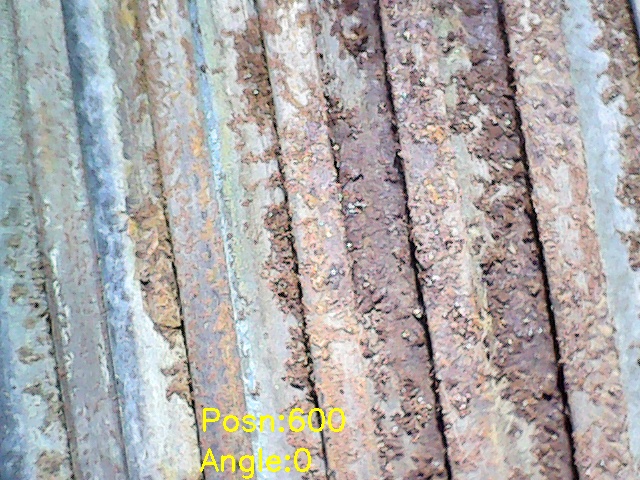 Dataset Object Detection Model By Riphah