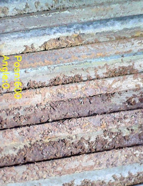 grayscale Object Detection Dataset by Riphah