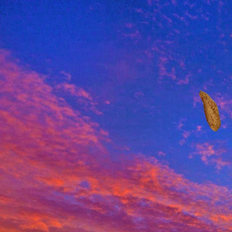 MLAI Instance Segmentation Model by dyang