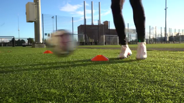 balldata Object Detection Dataset by ball