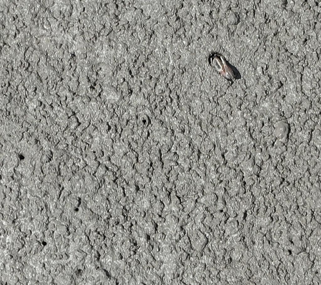 Mud-flats02 Instance Segmentation Dataset by HyeJin Moon