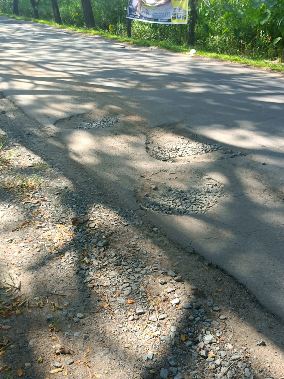 Frazor - Roboflow Universe