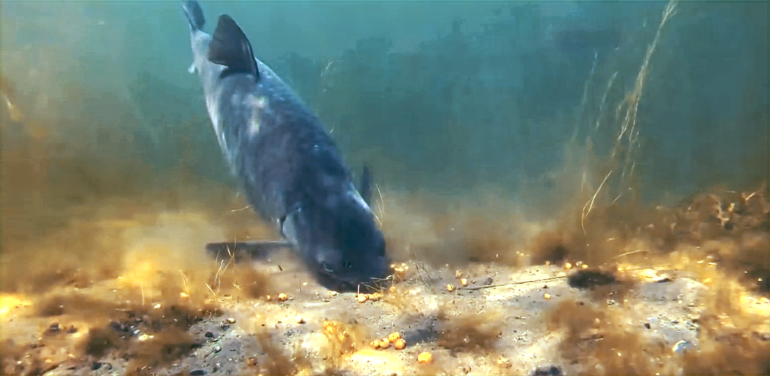 Mingming (mingming-qsnin) - Roboflow Universe