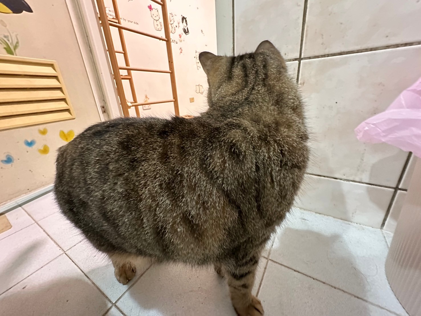 test image classification Classification Model by imageobject