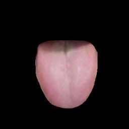 tongue Object Detection Model by trash