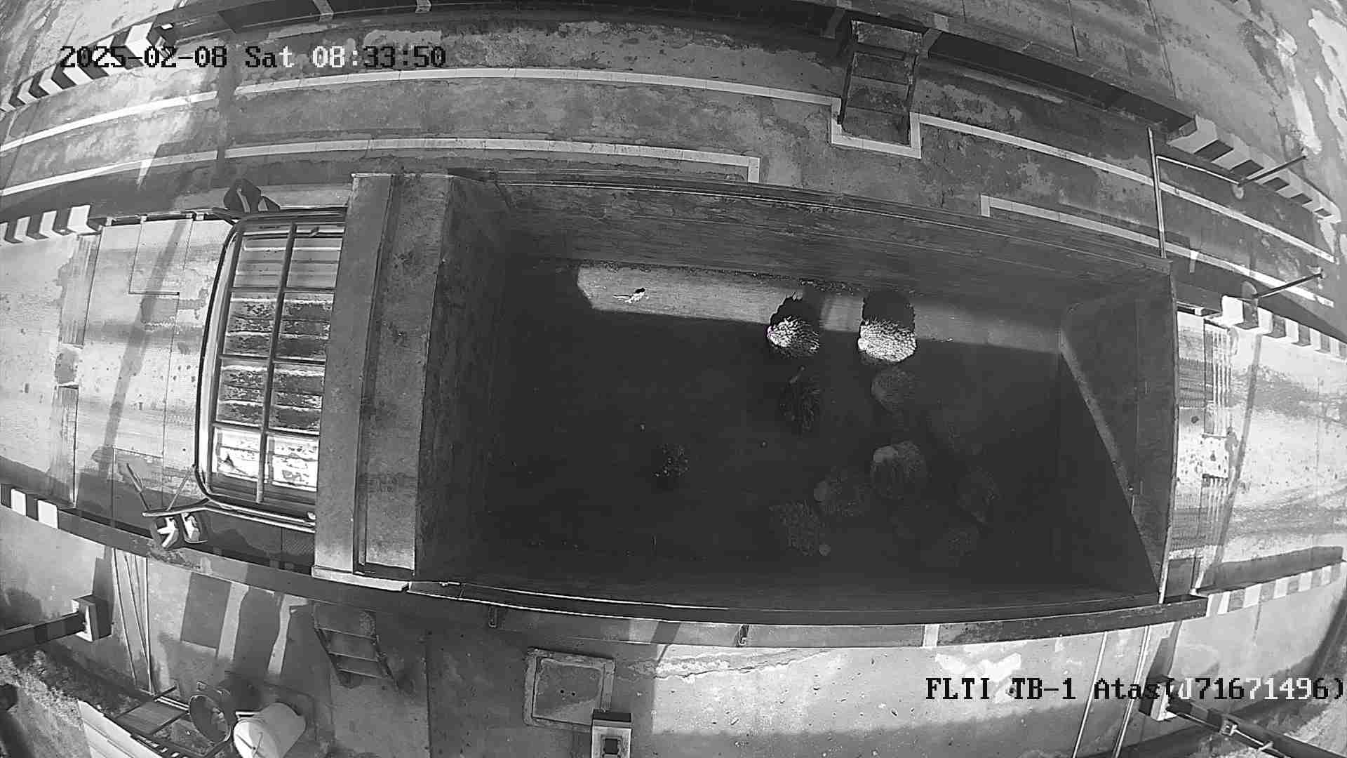 Empty Bin Detection Object Detection Dataset By Tap