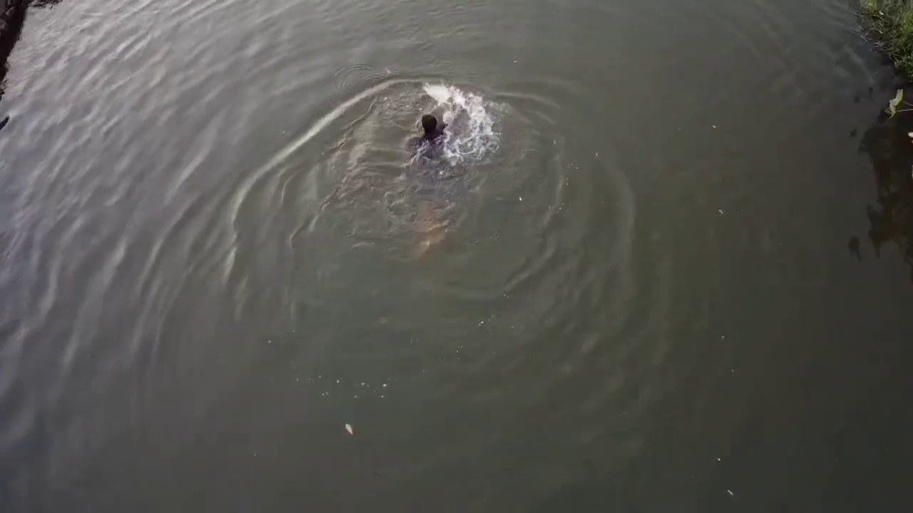 Custom Dataset Object Detection Dataset And Pre Trained Model By Newdataset