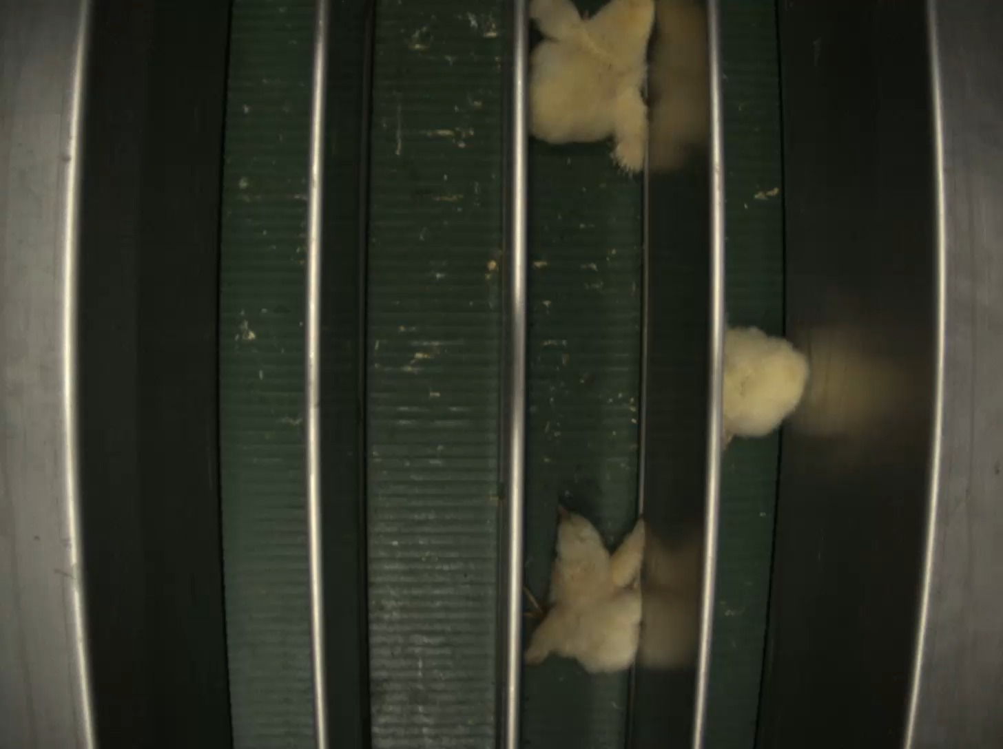 Amick Farms - Roboflow Universe