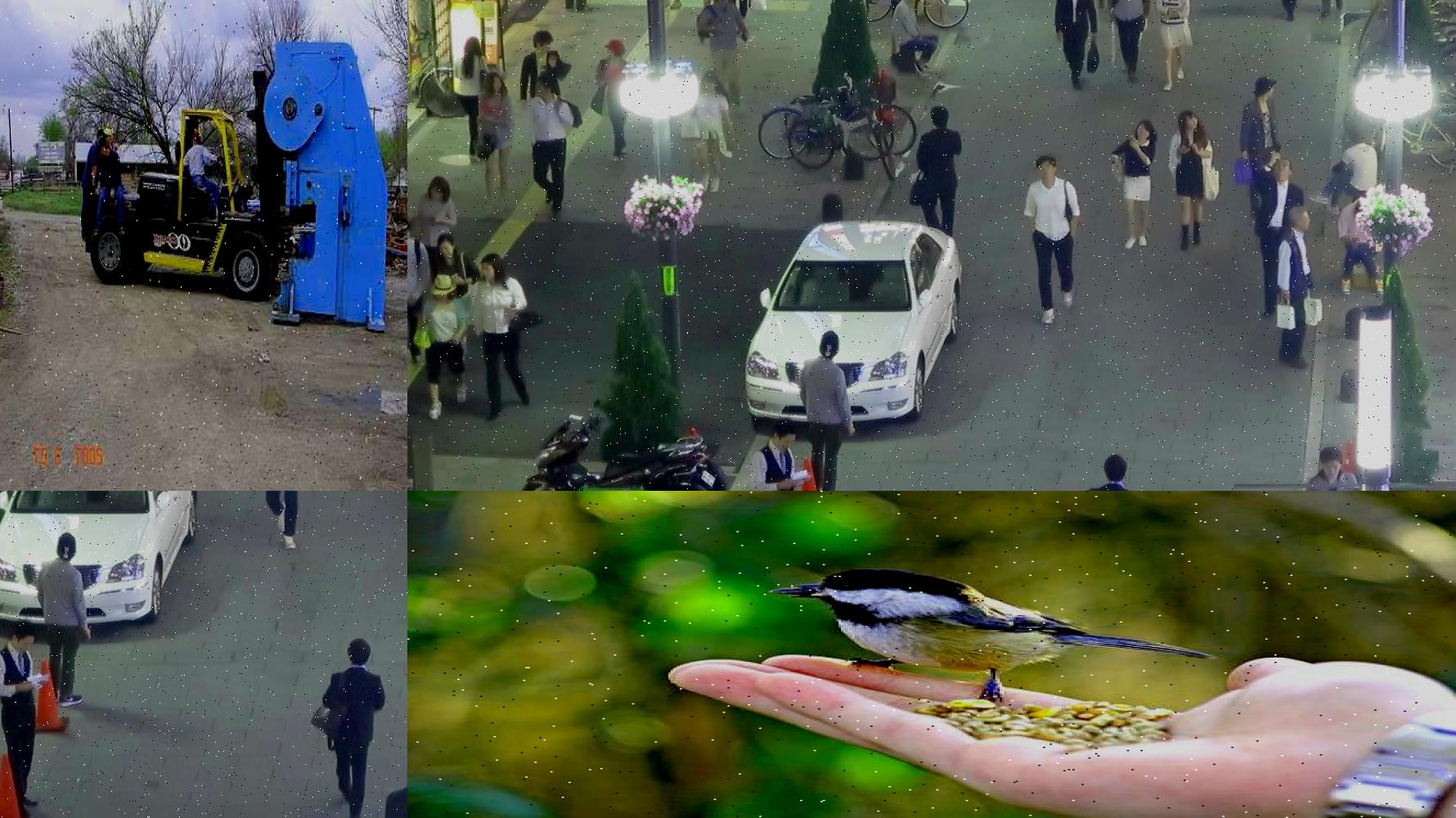 people detection Object Detection Dataset by Urban Edge