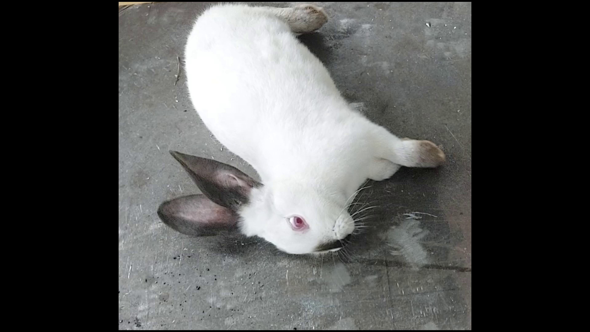 Computer Vision (computer-vision-al5iy) - Roboflow Universe