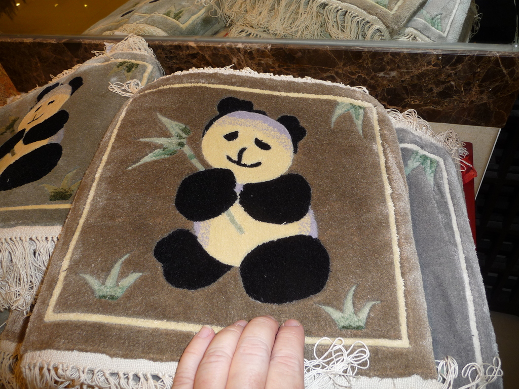 Panda Object Detection Dataset and Pre-Trained Model by yeni