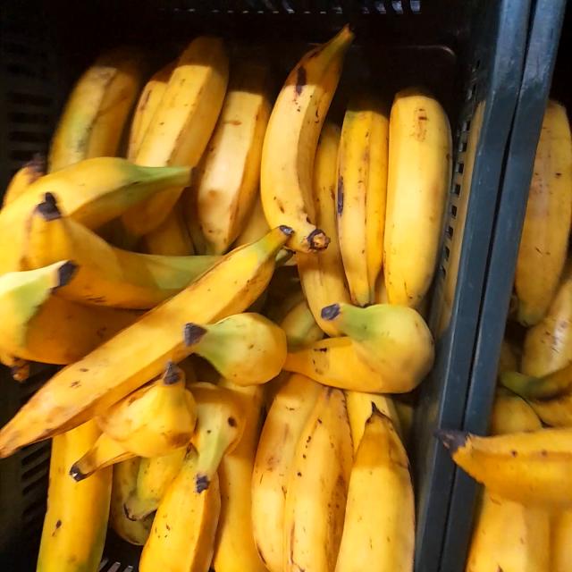 Bananas Detection Object Detection Dataset And Pre Trained Model By