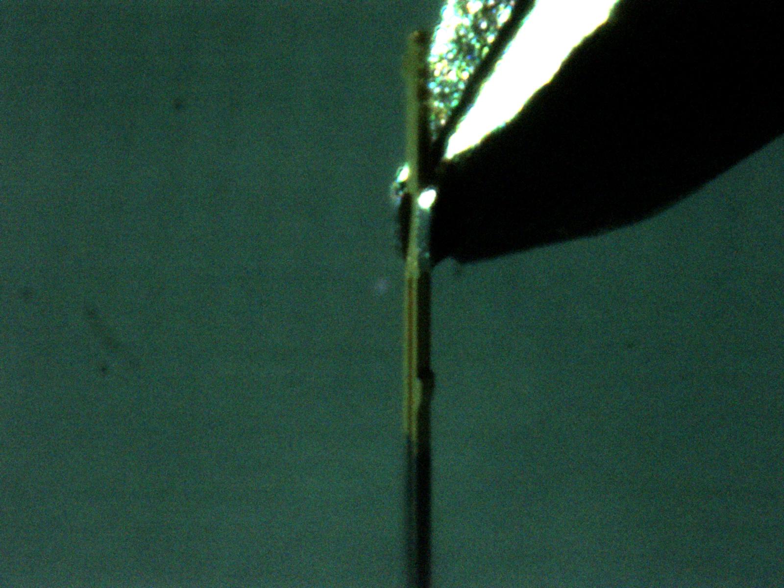 Bending_label_normal Computer Vision Dataset by Needle implantation