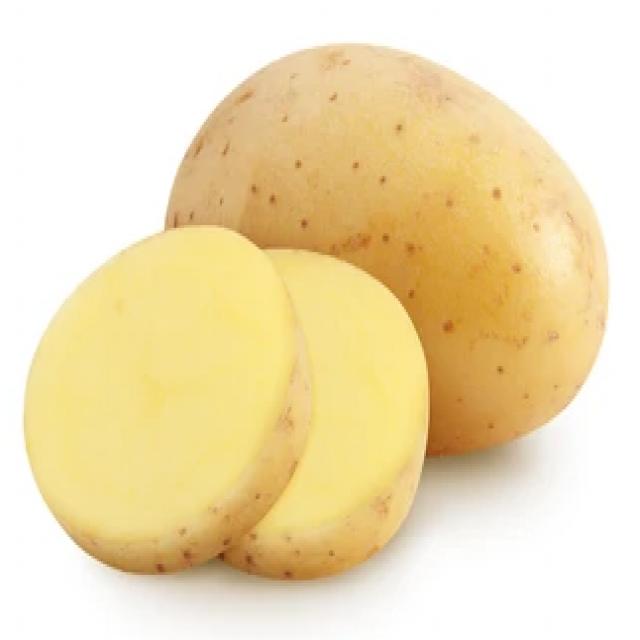 Potato Object Detection Model by Potato project