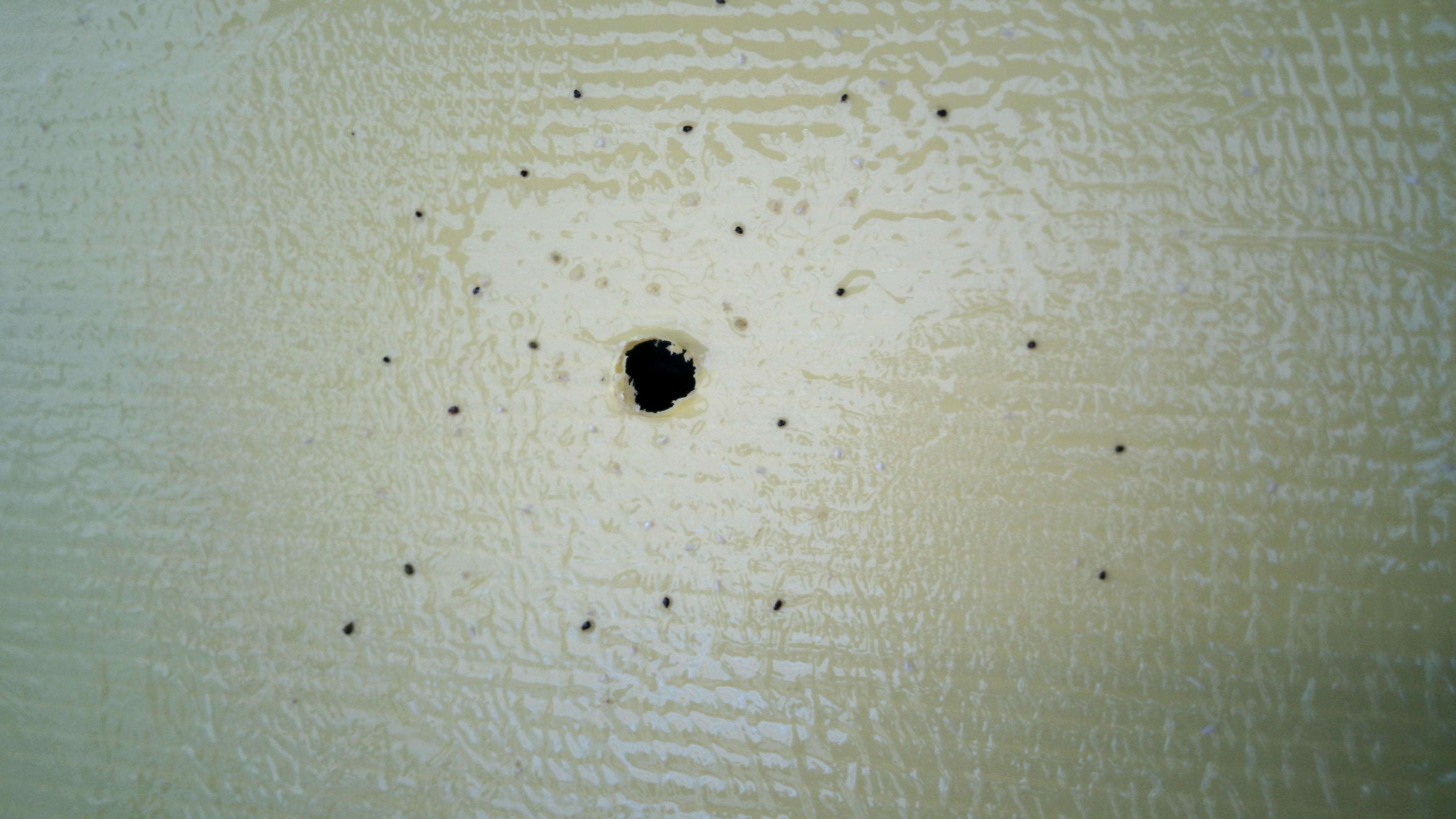 PestNu Aphids & Whiteflies Object Detection Dataset by CERTH