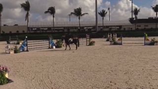 Fence/Hurdles Detection Object Detection Dataset and Pre-Trained Model by Equestrian AI