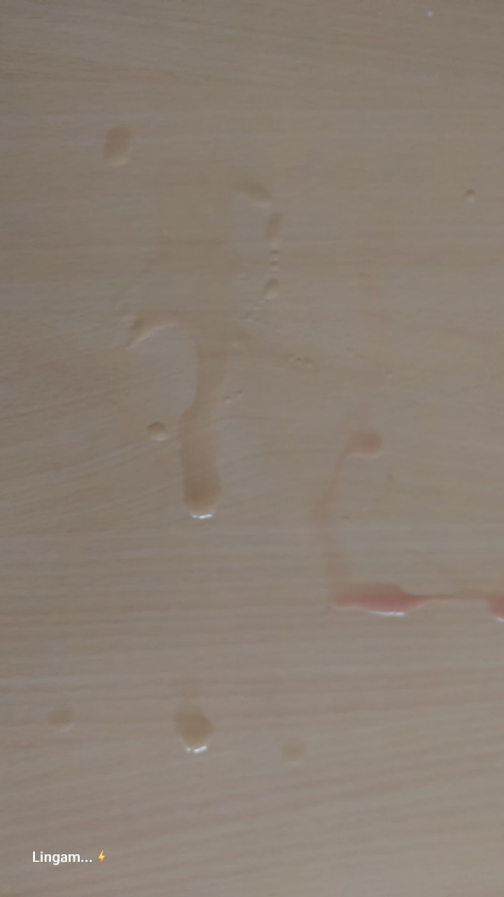 Yolo Floor Detection Object Detection Dataset And Pre Trained Model By Yolo