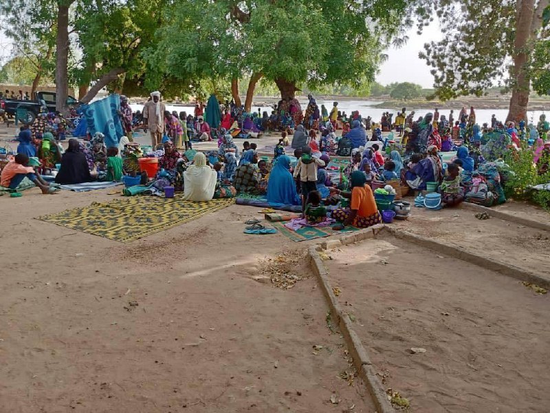 Object Detection Object Detection Model By Teamping