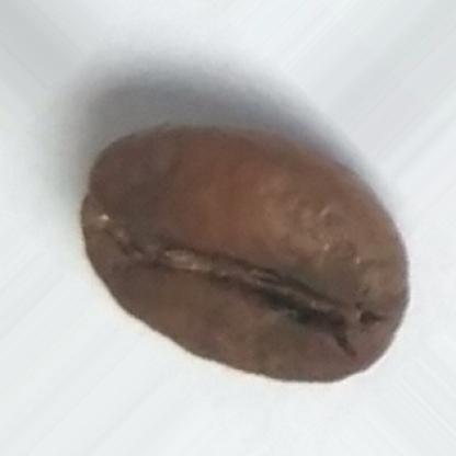 Coffee defect Classification Dataset by Goku Black