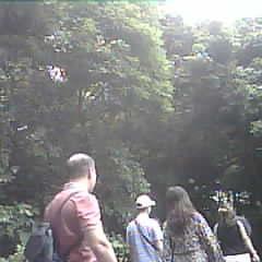 Ivan Minor - Roboflow Universe