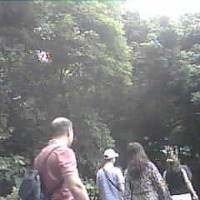 Ivan Minor - Roboflow Universe