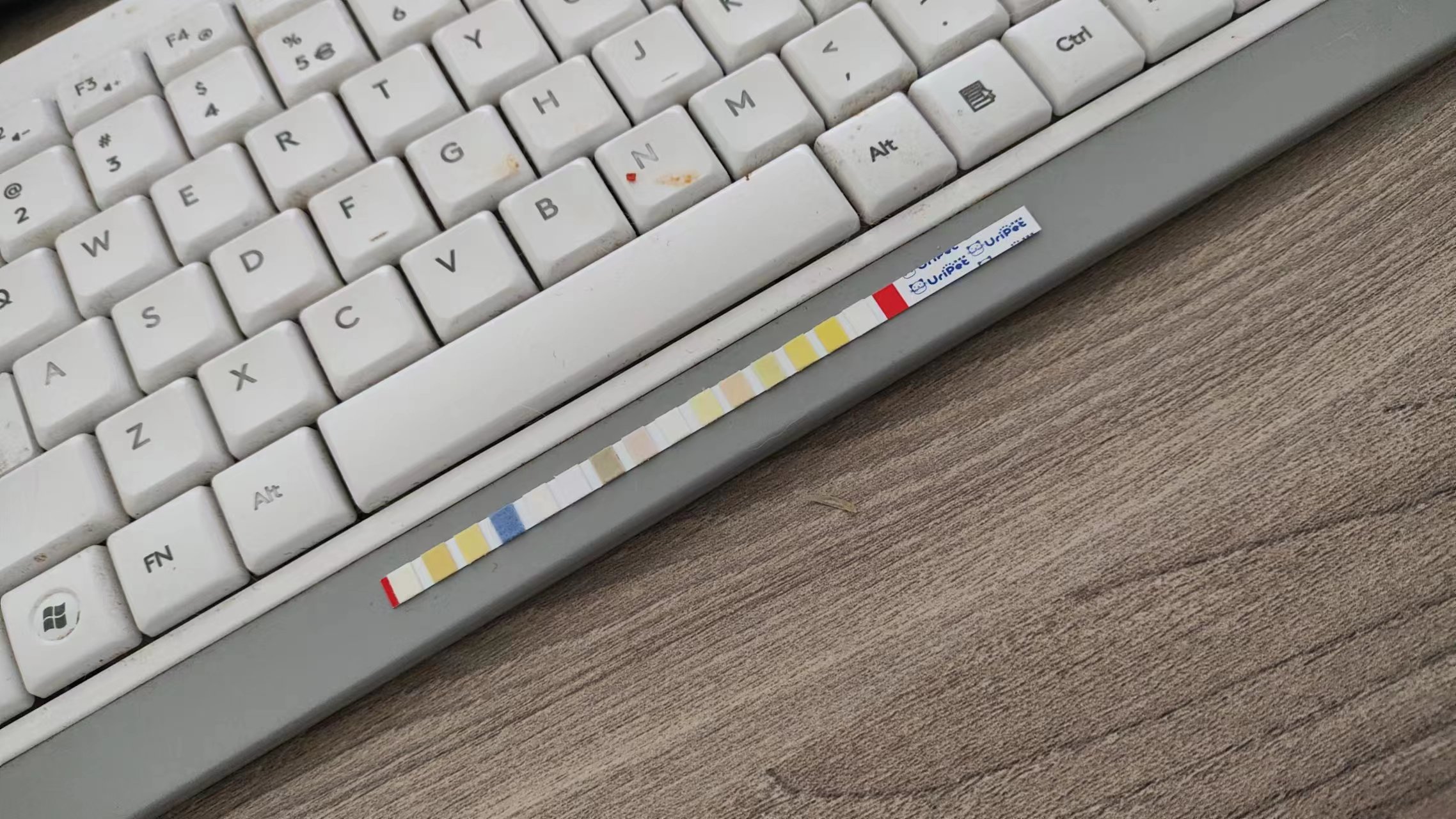 logo Object Detection Dataset by Mingyu Wang