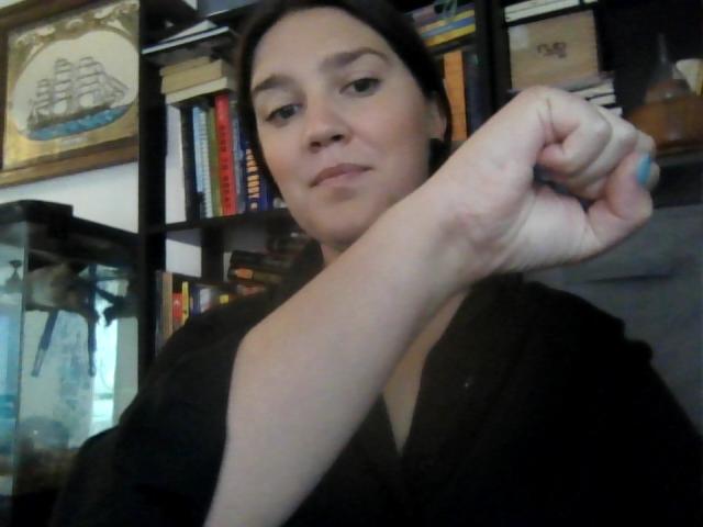 Hand Signals Object Detection Dataset and Pre-Trained Model by Wayceys Workspace