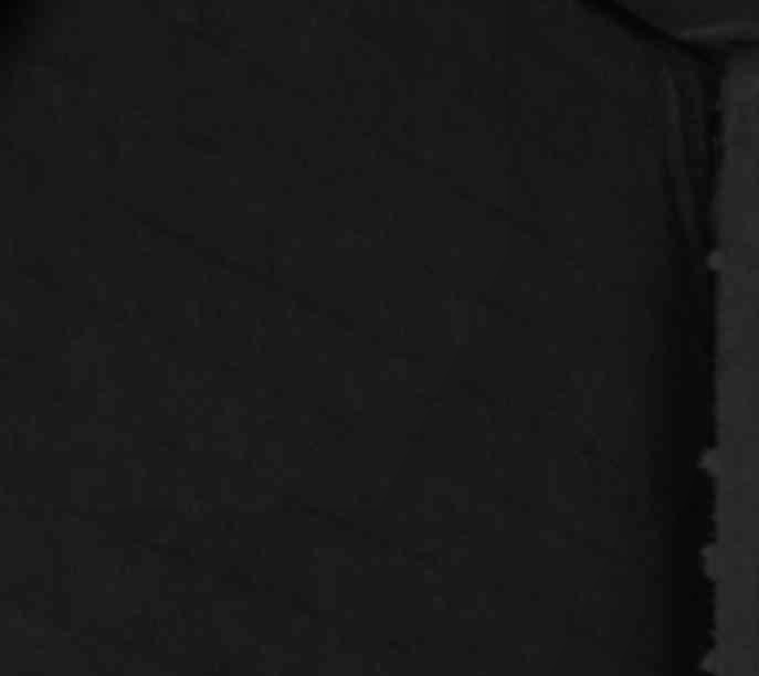 Metal Sample V1.0 Instance Segmentation Model by Linda Geng