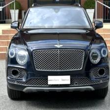 Car Make Model Recognition Clean Classification Dataset by Car MakeModel